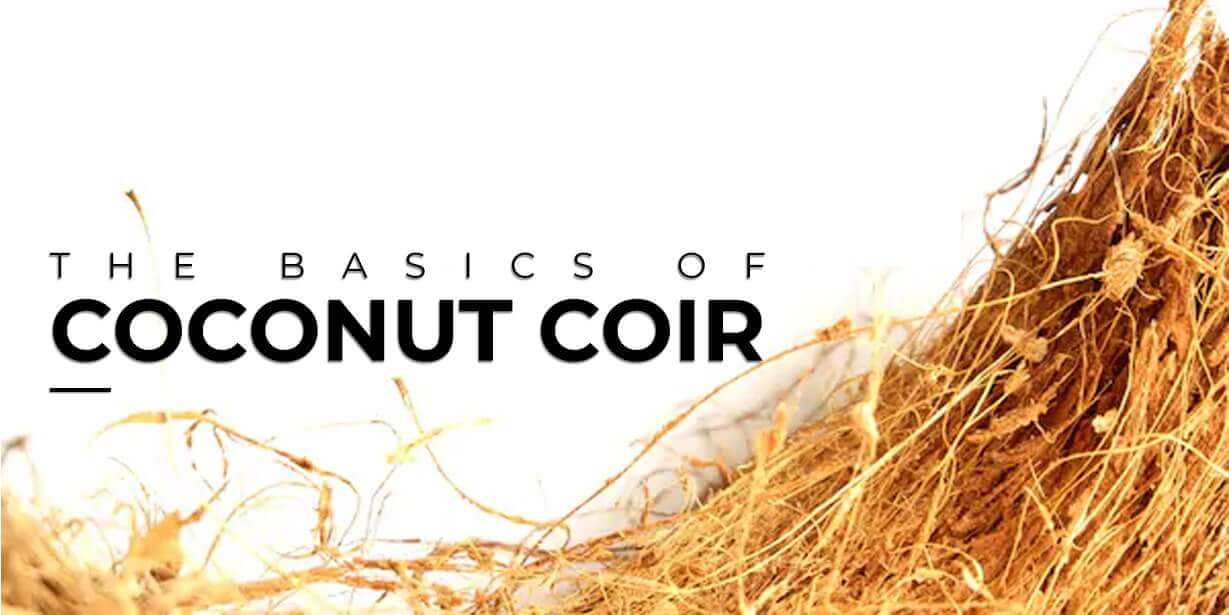 The Basics of Coconut Coir - Royce Food Corporation